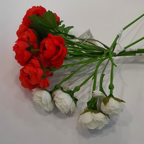 Ranunkula 52166 UCV-28